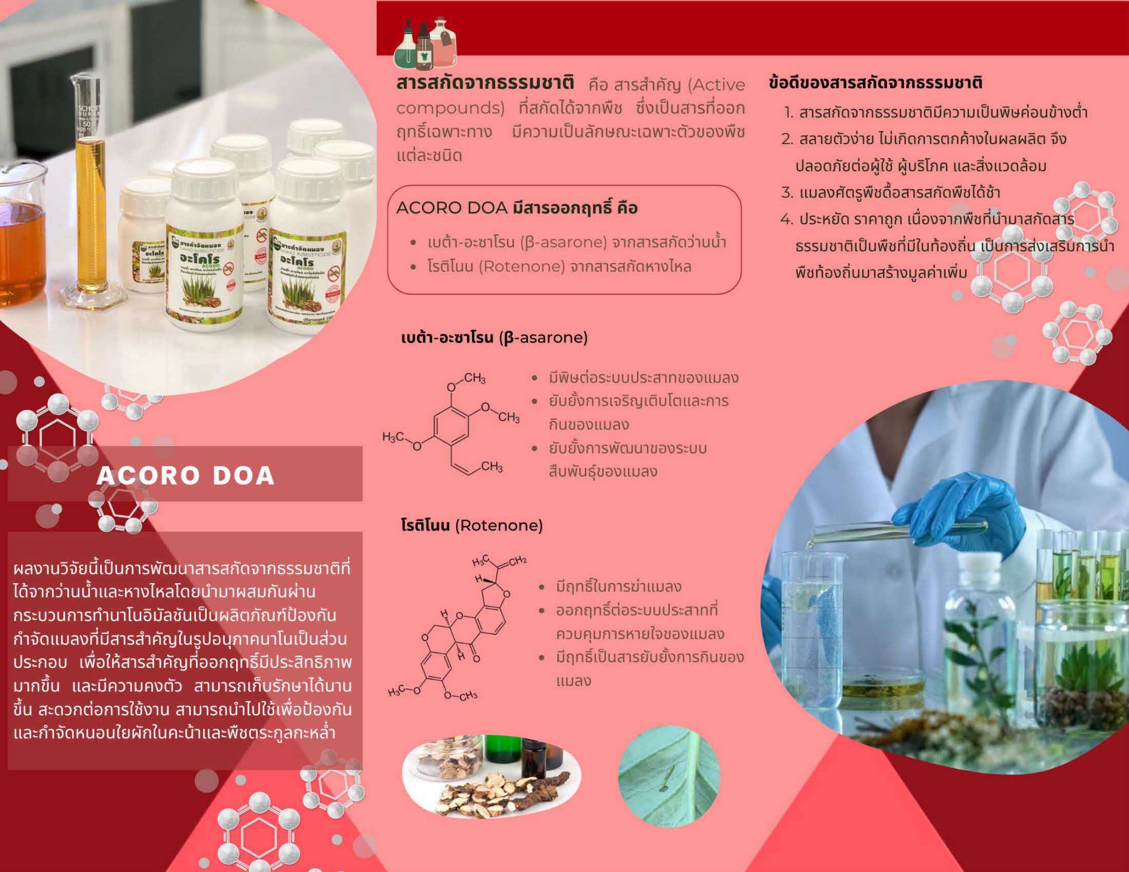 27.ACORO DOA ผลิตภัณฑ์สารสกัดจากพืชว่านน้ำ+หางไหล นาโนเทคโนโลยีป้องกัน ...