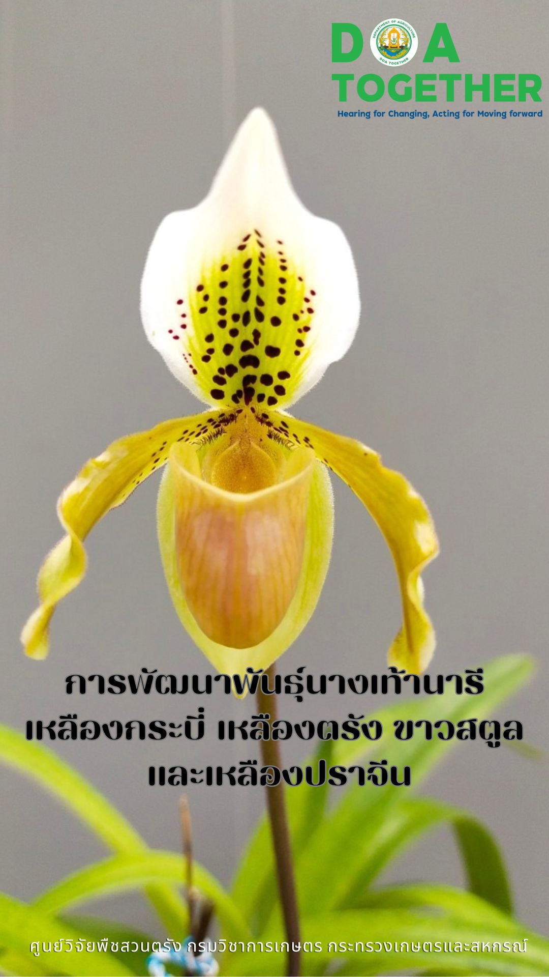 ศูนย์วิจัยพืชสวนตรัง