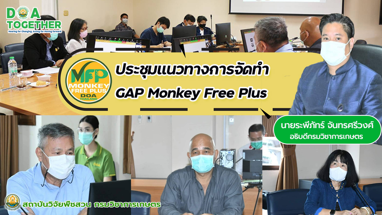 ประชุมแนวทางการจัดทำ GAP Monkey Free Plus